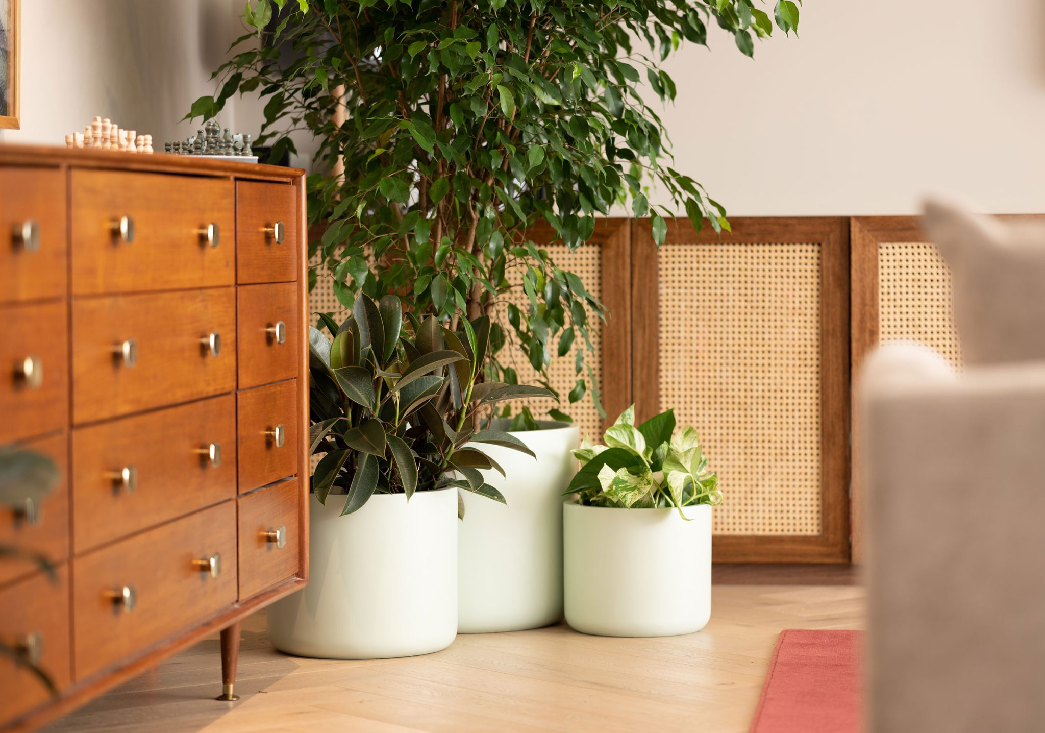 Simply Good Pots | Outdoor & Indoor Plant Pots