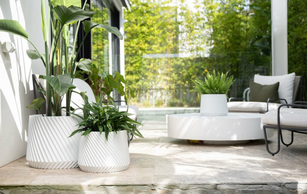 Greening Up Your Home with Large Indoor Pots | Simply Good Pots