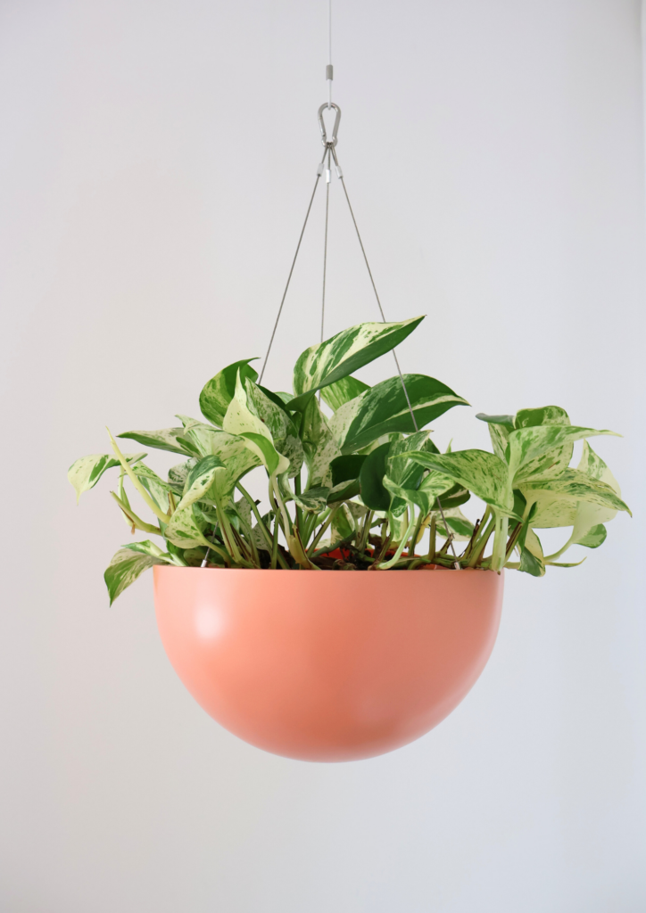 Coco Hanging Bowl - Small | Simply Good Pots
