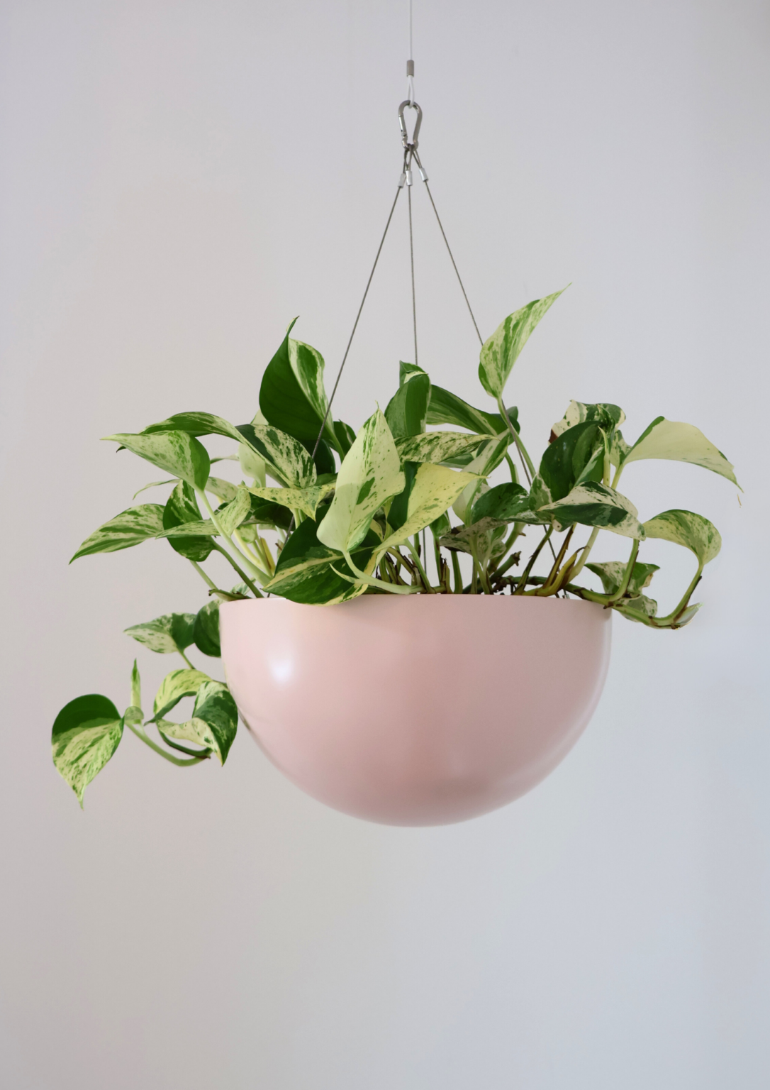 Coco Hanging Bowl - Large | Simply Good Pots