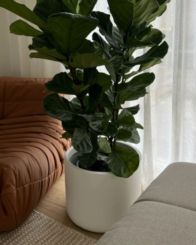 Shop | Simply Good Pots